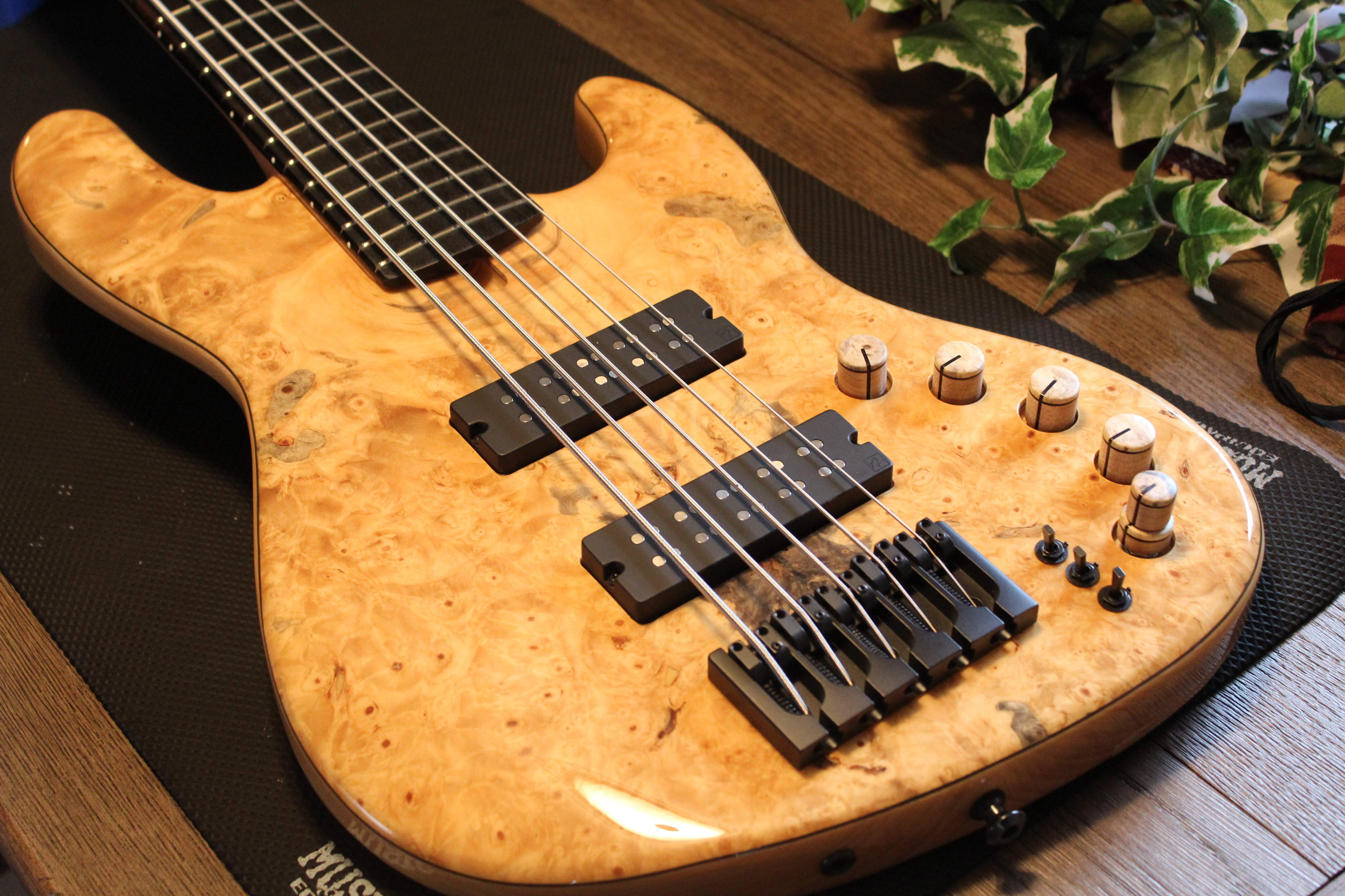 Custom Devon Basses Best Basses Ive Ever Owned